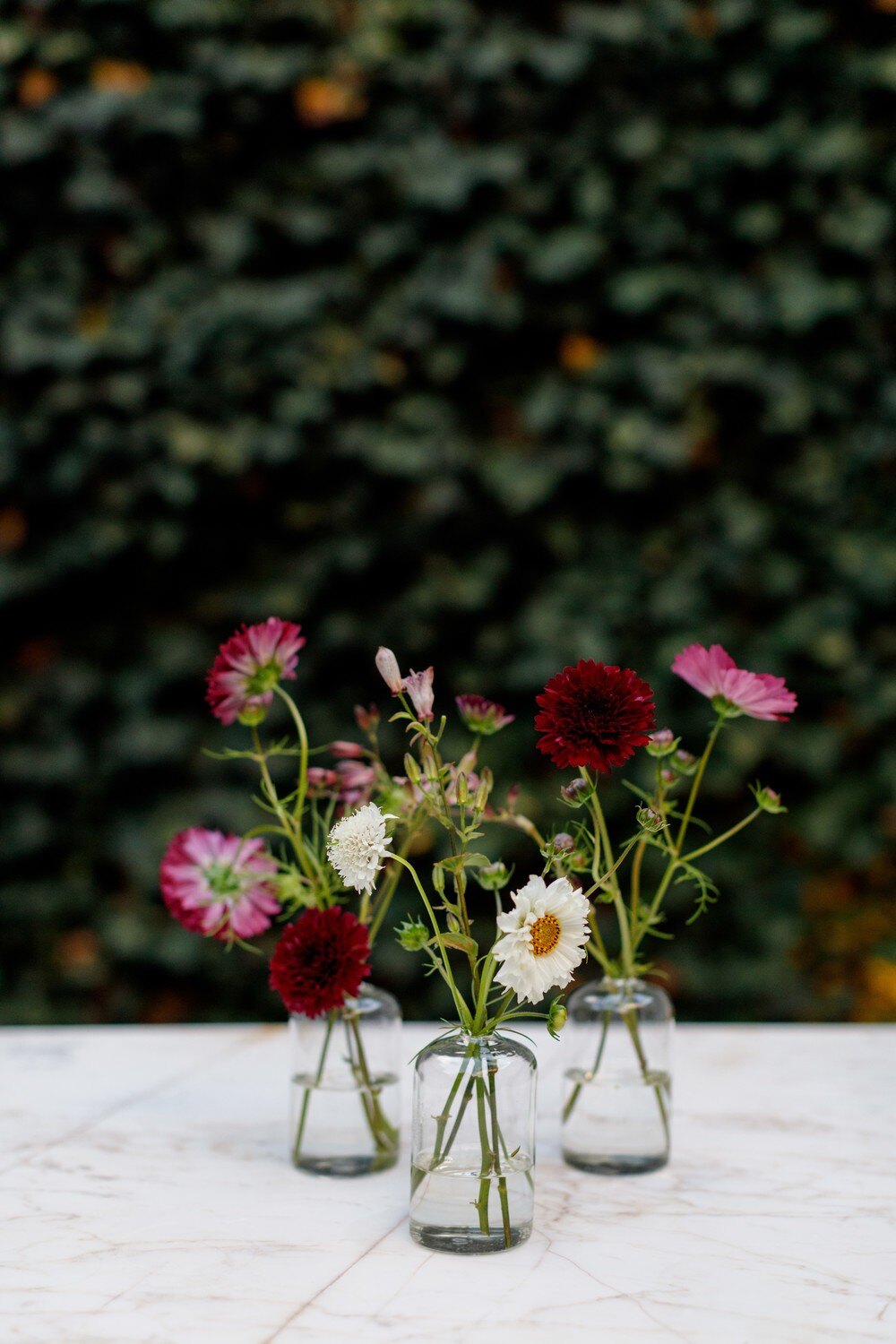 Our Menu | Magdalena Restaurant in Downtown Baltimore, MD | The Ivy Hotel