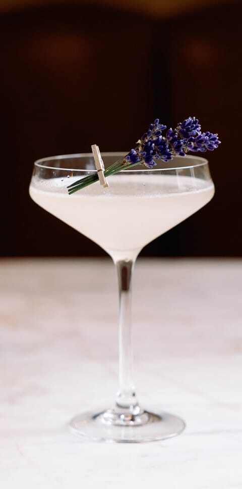 Our Menu | Magdalena Restaurant in Downtown Baltimore, MD | The Ivy Hotel