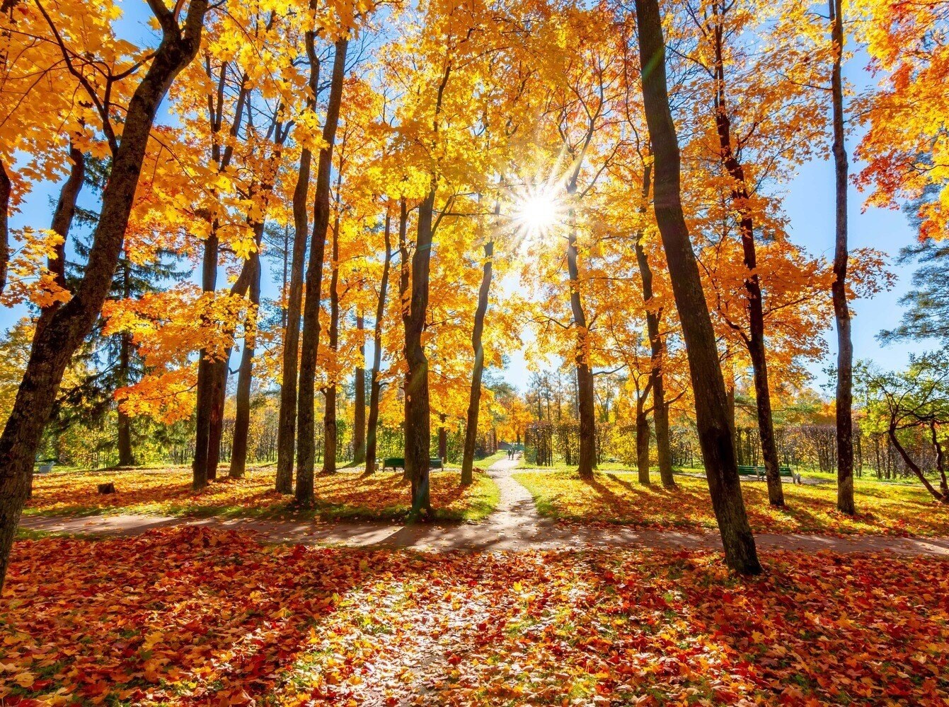 Fall into Charm: A Guide to Autumn Adventures in Baltimore